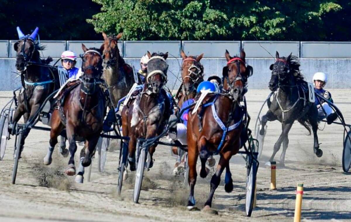 Ippodromo di Vinovo ­ 9 Maggio, il trotto si gemella con il Giro d ...